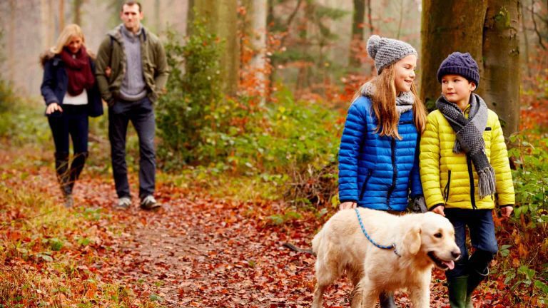 6 beneficios de tener una mascota en casa | Familias